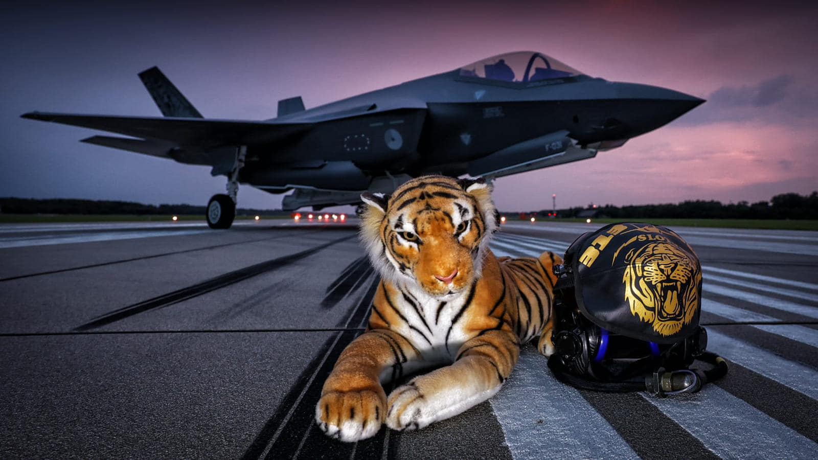 313 SQUADRON – NATO's FINEST TIGER SQUADRON