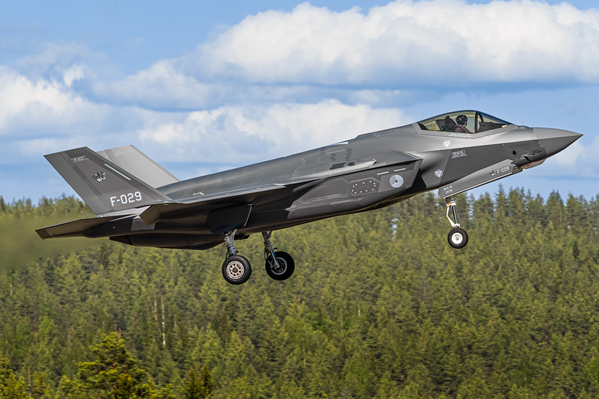 313 SQUADRON – NATO's FINEST TIGER SQUADRON